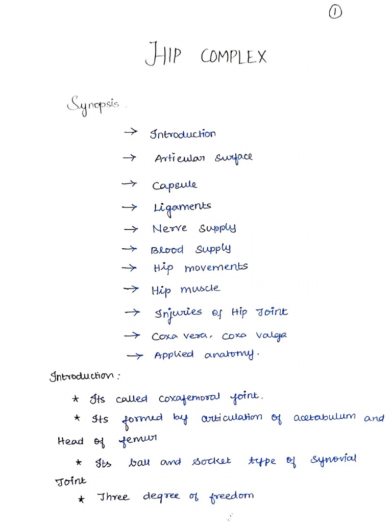 Hip Complex BM | PDF | Lower Limb Anatomy | Dance Science