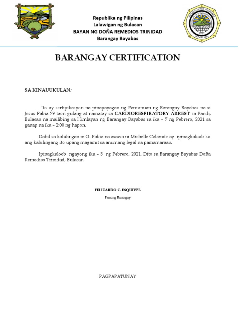 Pagpapatunay SAP ESP | PDF