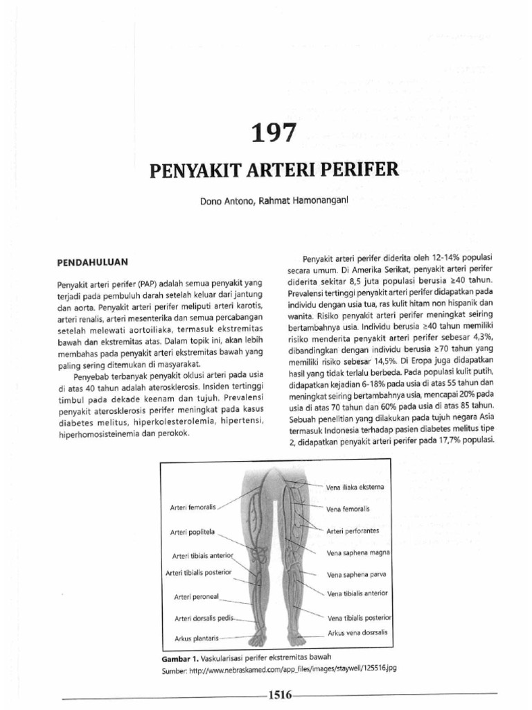 Penyakit Arteri Perifer | PDF