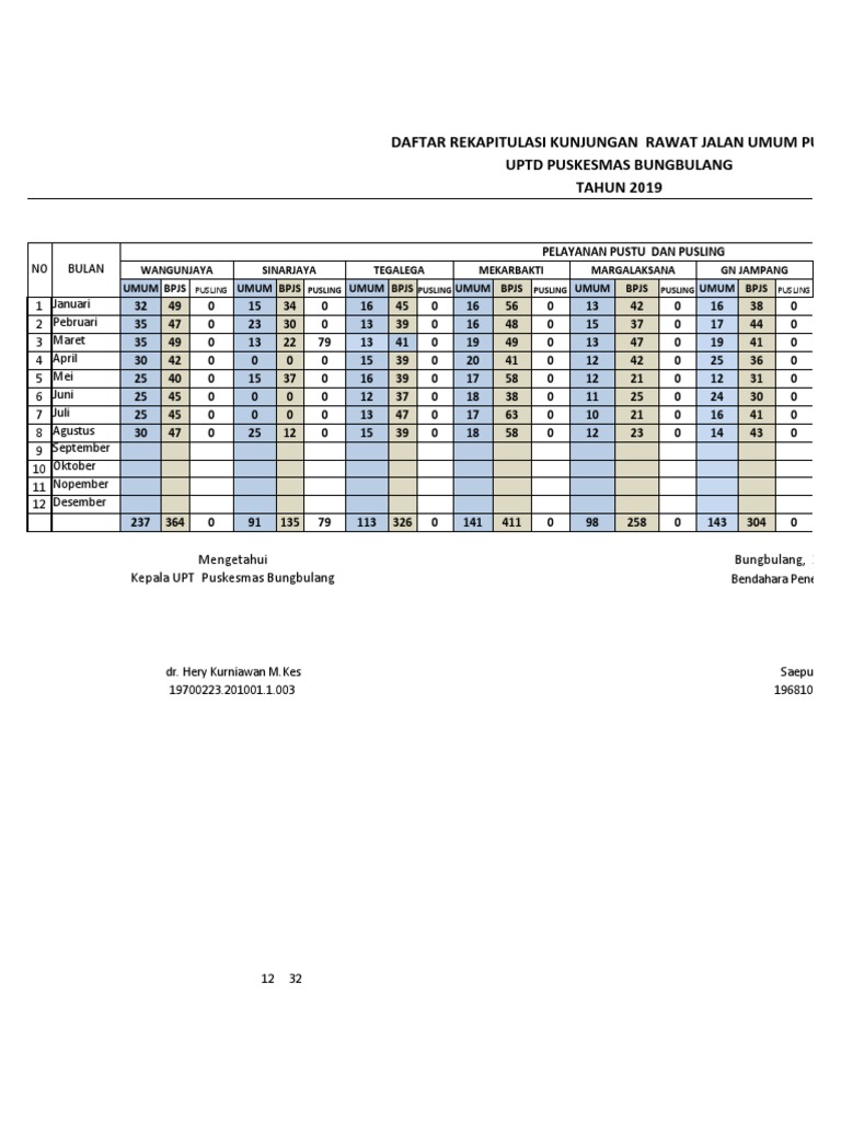 Kunjungan Pustu | PDF