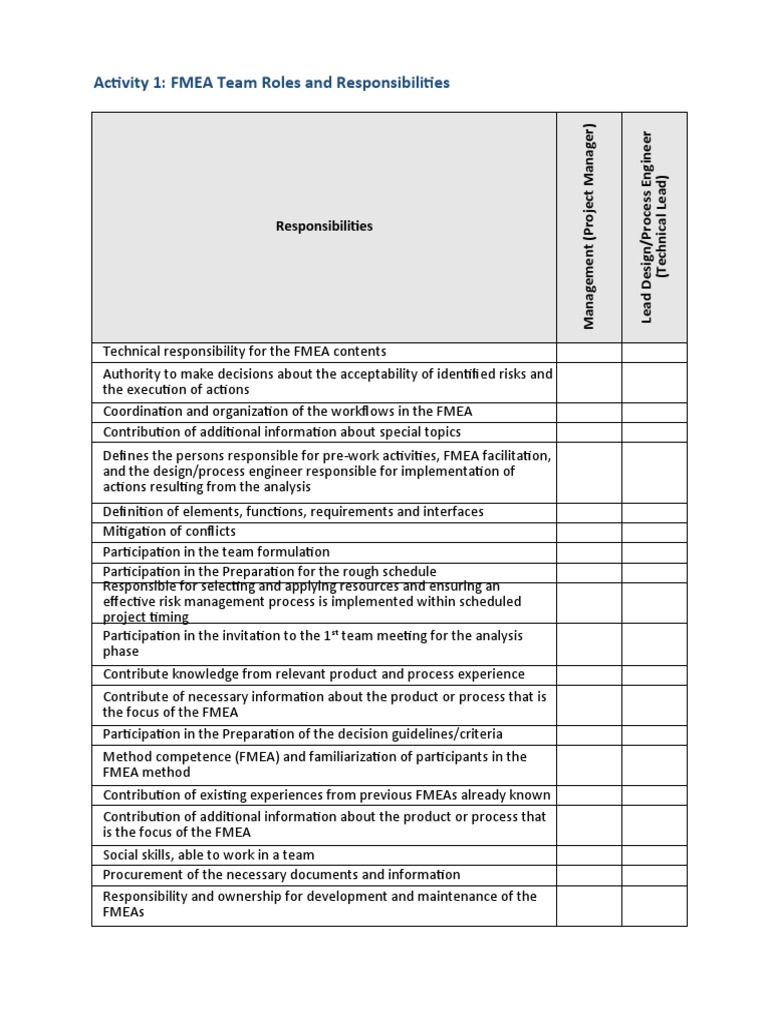 AIAG-VDA PFMEA Template For Activity - (Delegate) | PDF | Systems ...