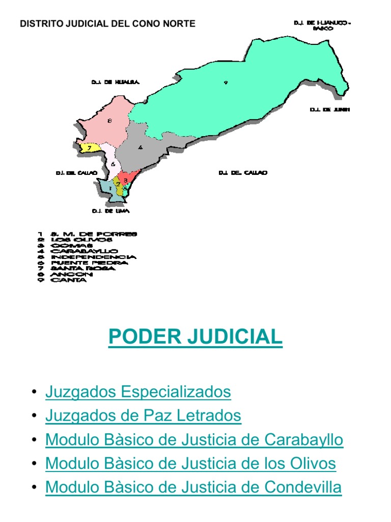 Poder Judicial | PDF