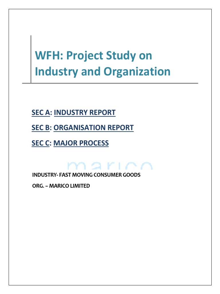 WFH: Project Study On Industry and Organization: Sec A: Industry Report Sec B: Organisation ...