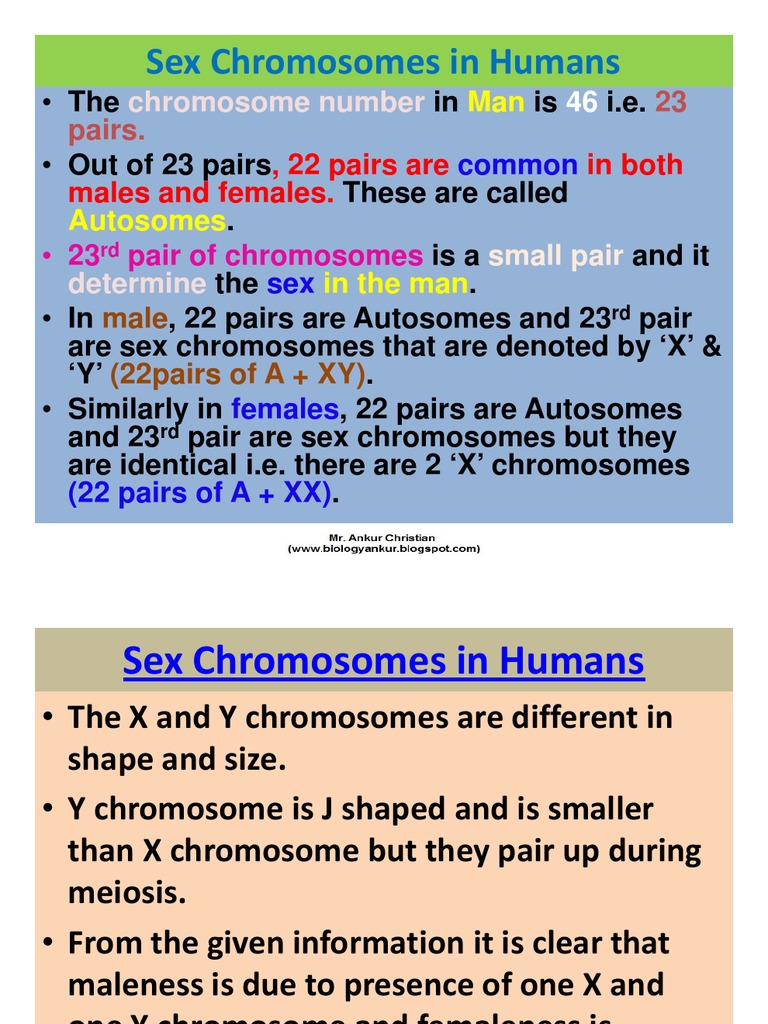Chapter 3: Principles of Genetics - Sex Chromosomes in Humans and Sex ...