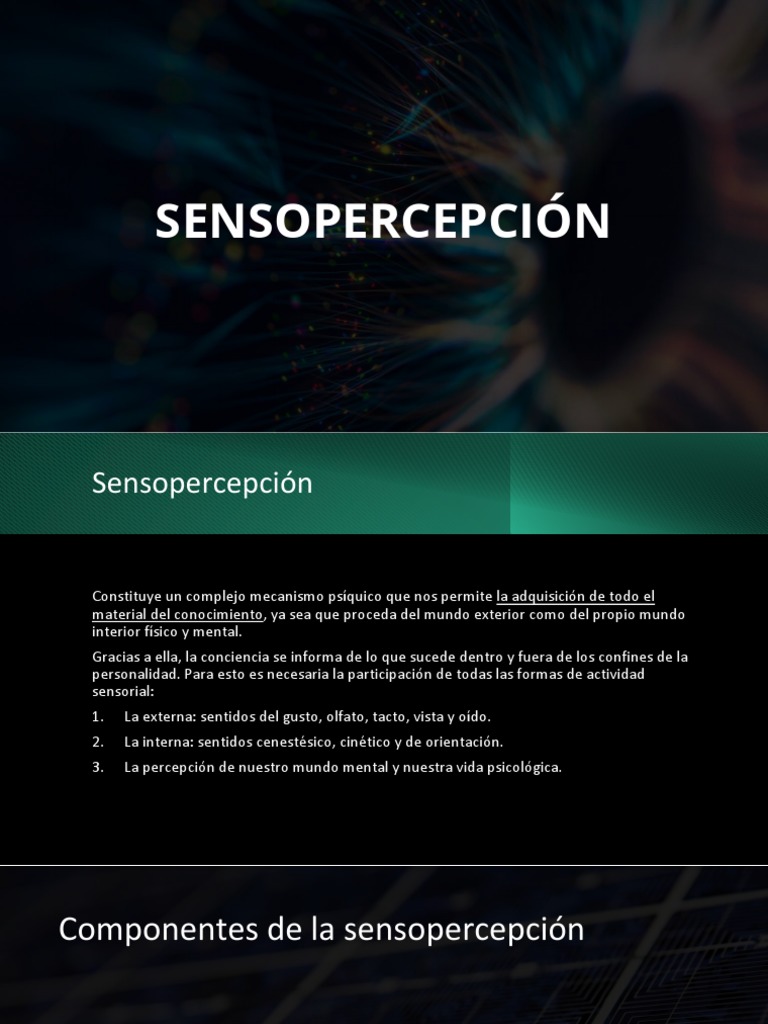 Sensopercepción | PDF | Percepción | Experiencia subjetiva