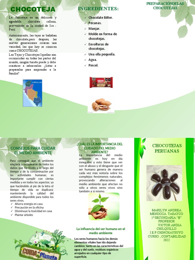 TRIPTICO Chocoteja | PDF | Naturaleza | Entorno natural