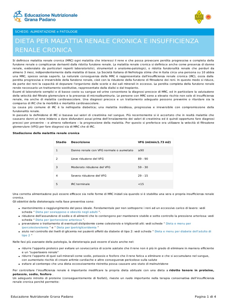 Dieta Per Malattia Renale Cronica e Insufficienza Renale Cronica | PDF