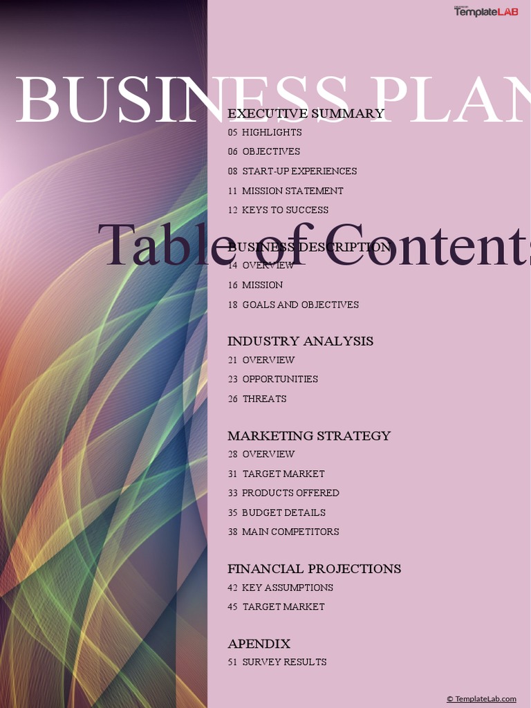 Business Plan Table of Contents | PDF | Business