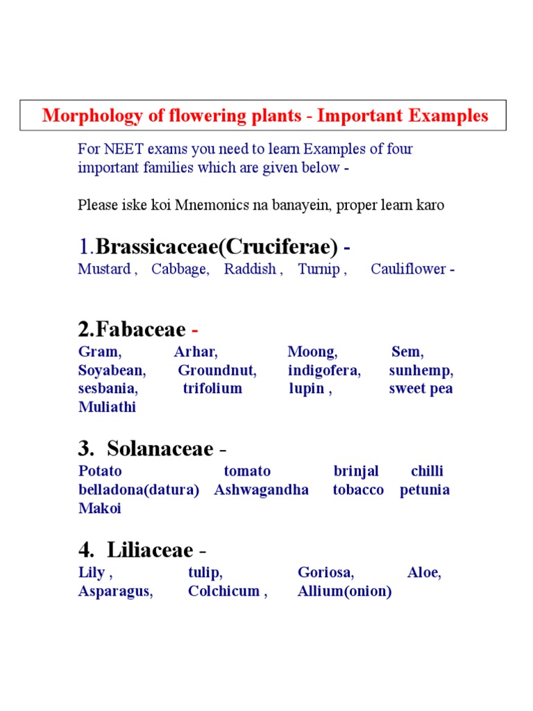 Examples: Brassicaceae (Cruciferae) | PDF | Wellness