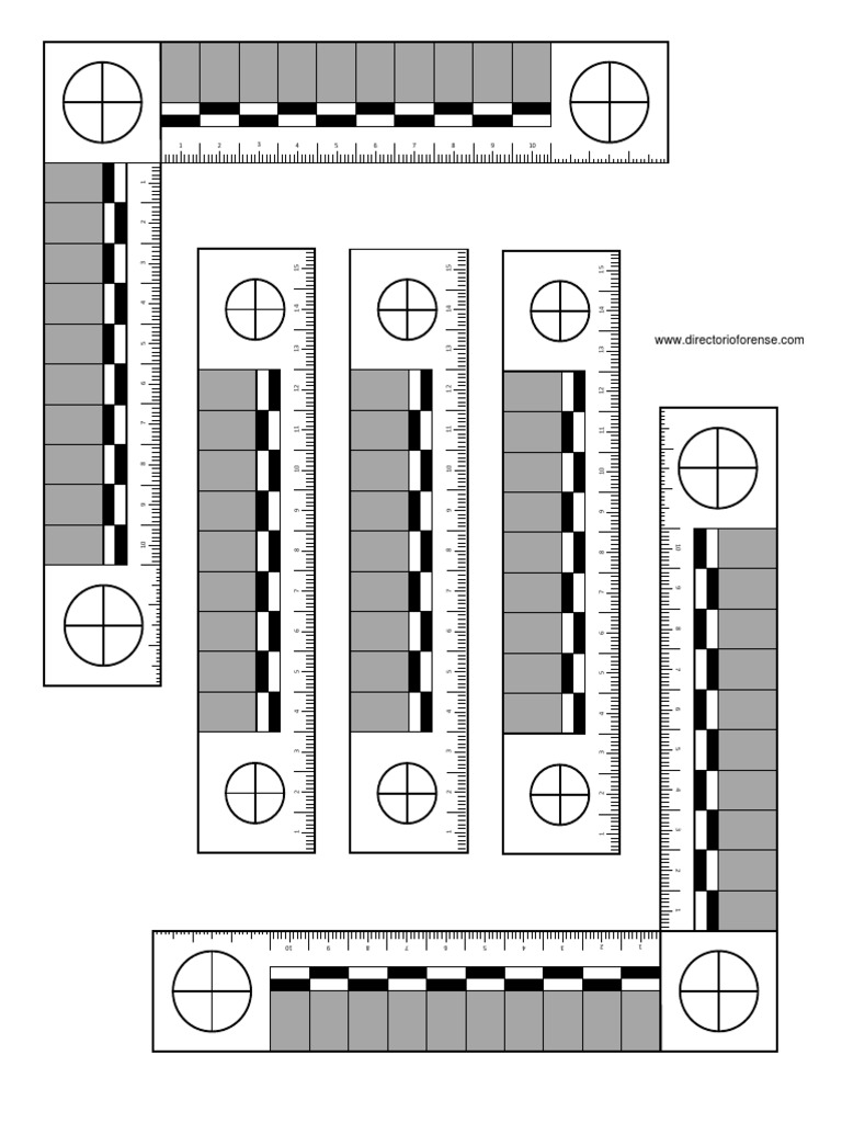 Testigos Metricos Indicadores Evidencia Directorio Forense Gratis | PDF