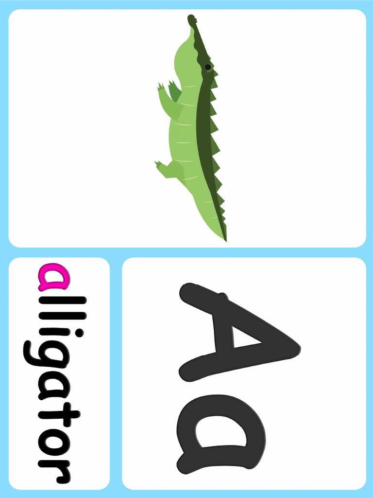 A Z Animal Phonics Flashcards PACK 3 | PDF