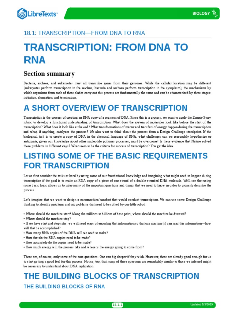 3 Transcription-From - DNA - To - RNA | PDF | Messenger Rna | Promoter ...