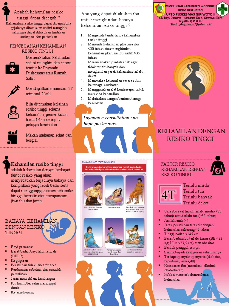 Leaflet Bumil Resti | PDF