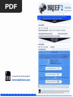 BRIEF-2 - Descripcion Escalas | PDF | Las emociones | Neurociencia