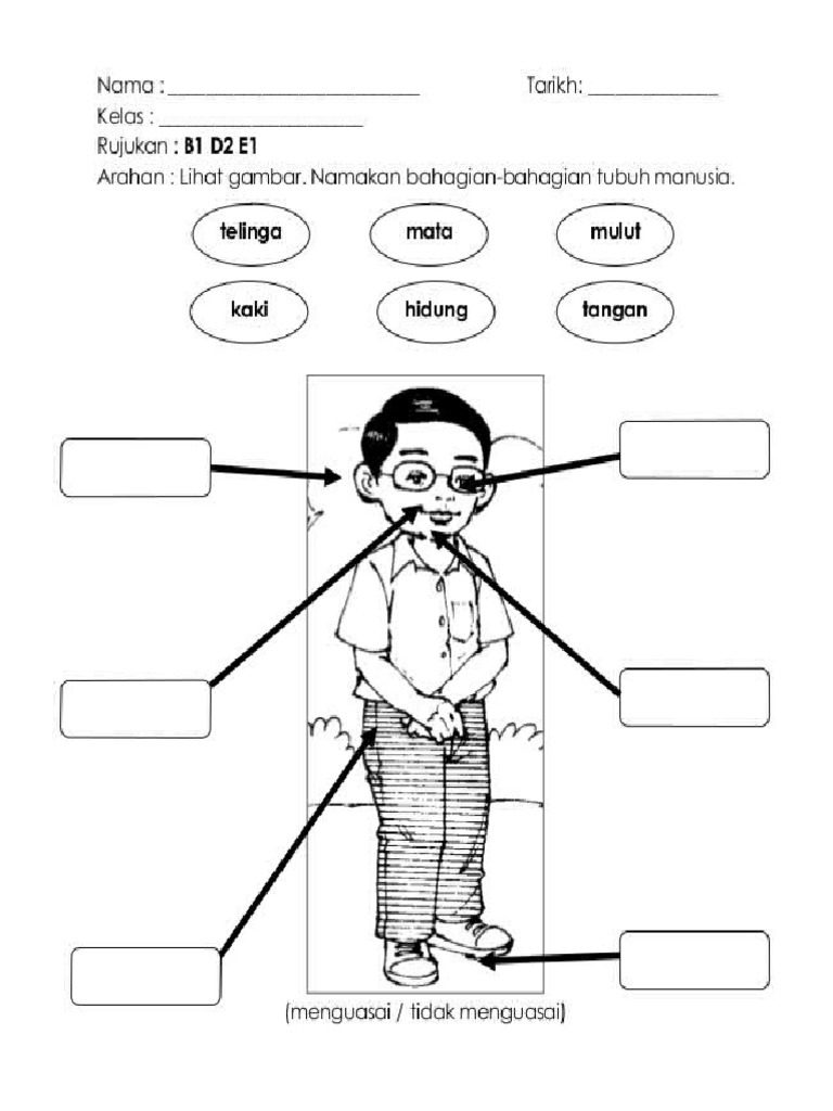 Label Anggota Badan | PDF