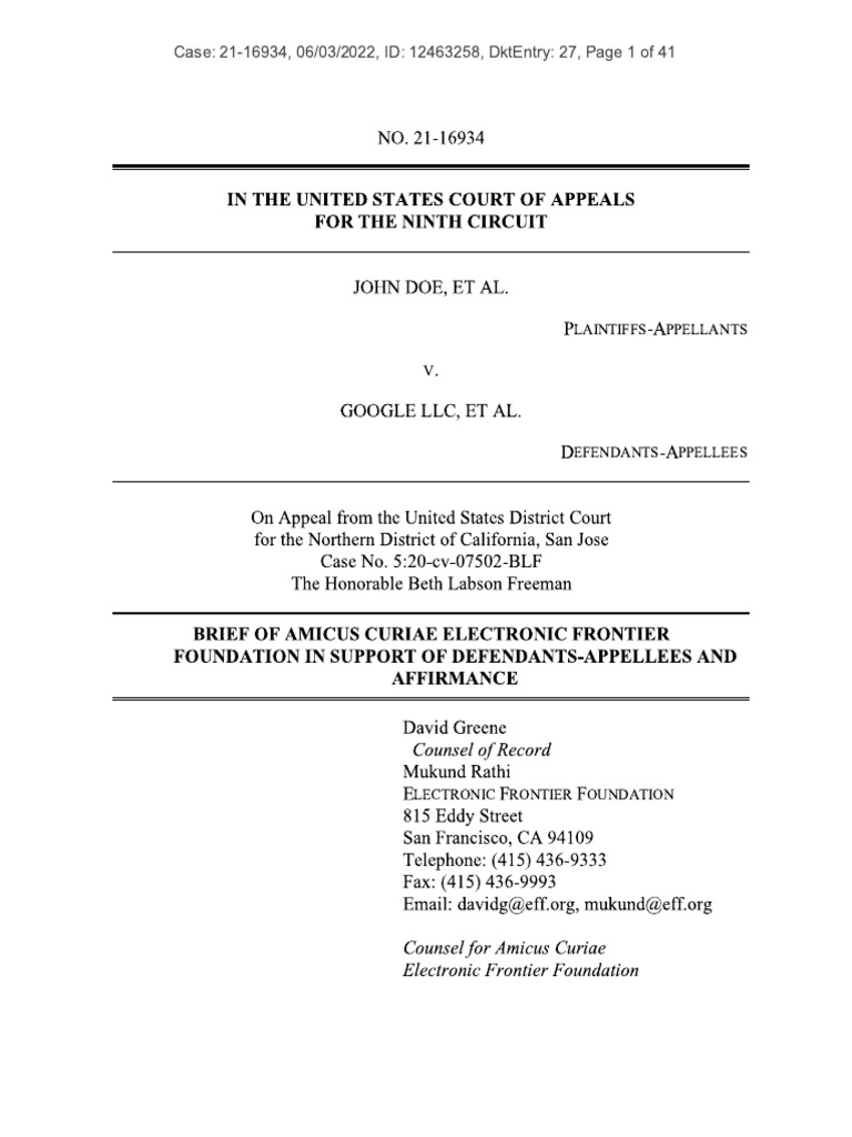Amicus Brief | PDF