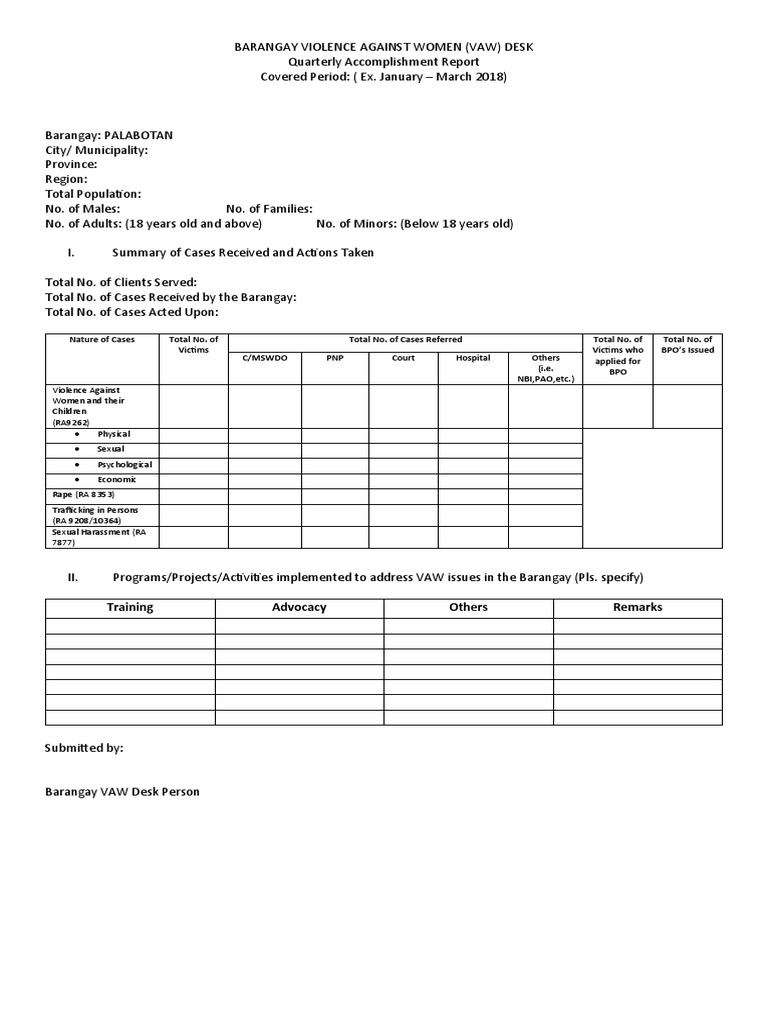 VAWC Accomplishment Report | PDF