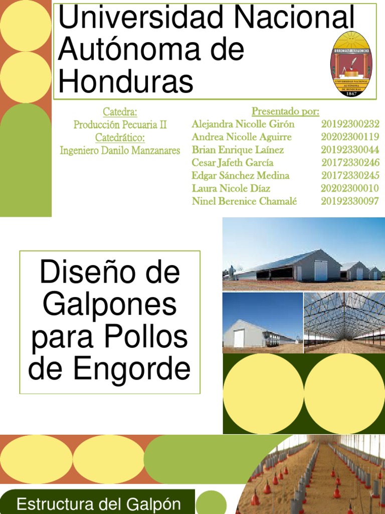 Diseño de Galpones para Pollos de Engorde - GrupoN°4 | PDF ...