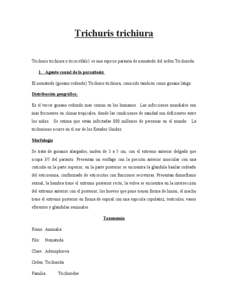 Trichuris trichiura: Características, ciclo de vida, epidemiología y ...