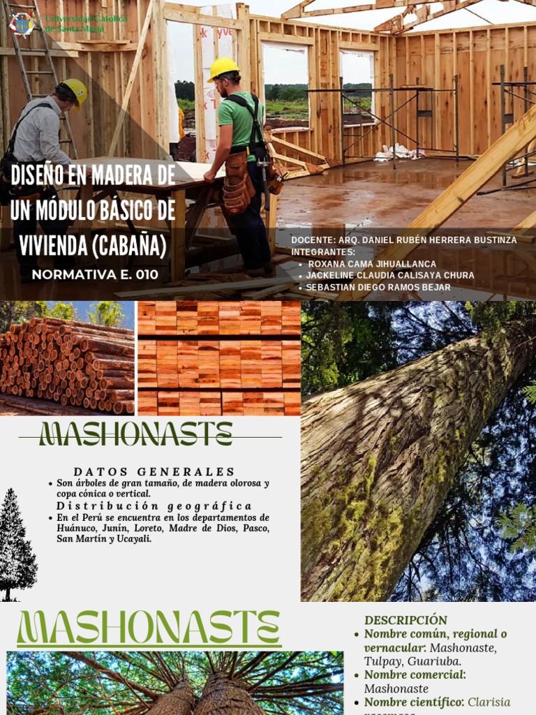 Diseño de Cabaña en Madera Mashonaste | PDF | Madera | Elasticidad (Física)