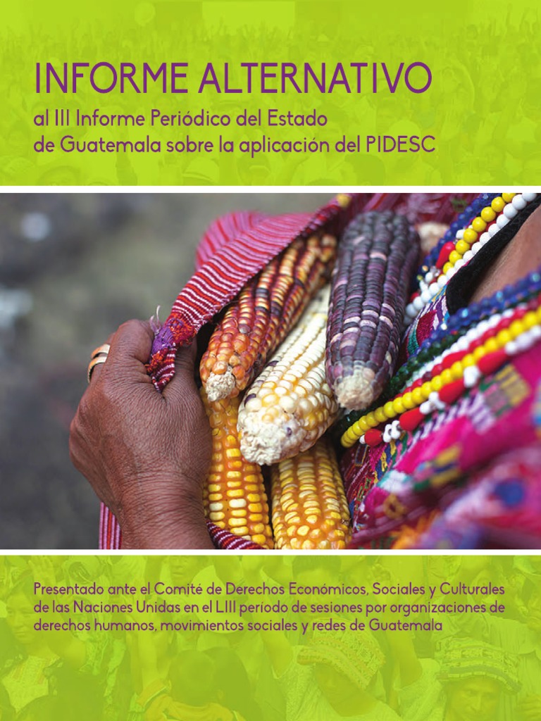 Informe Alternativo PIDESC | Descargar gratis PDF | Teoría libertaria ...