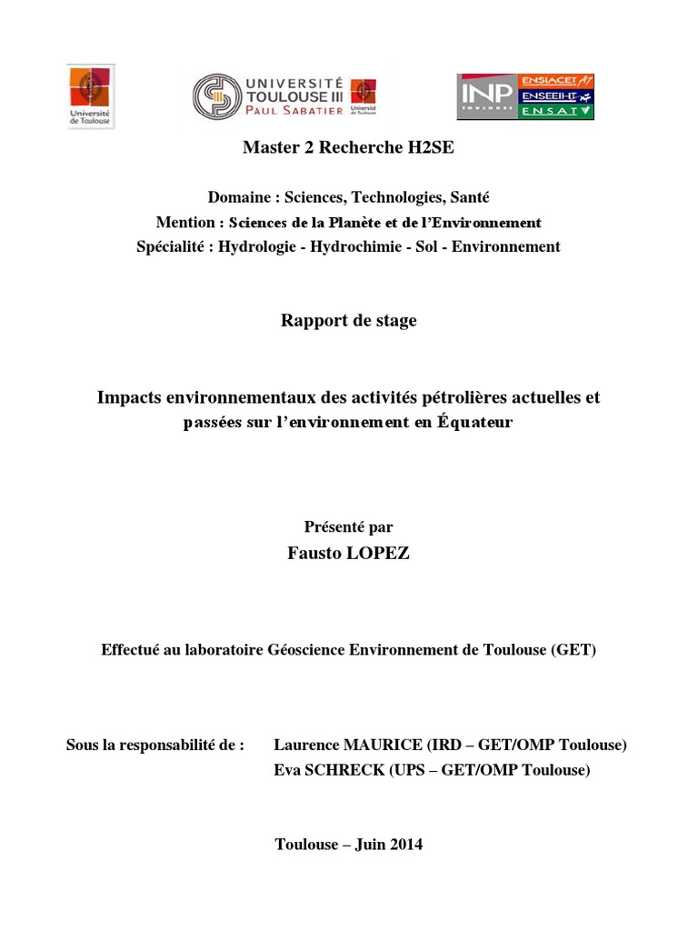 RAPPORT+FINAL Master+ Fausto | PDF | Hydrocarbure aromatique ...