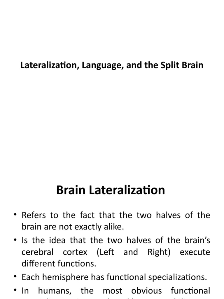 Lateralization, Language, and The Split Brain | PDF | Lateralization Of Brain Function | Aphasia