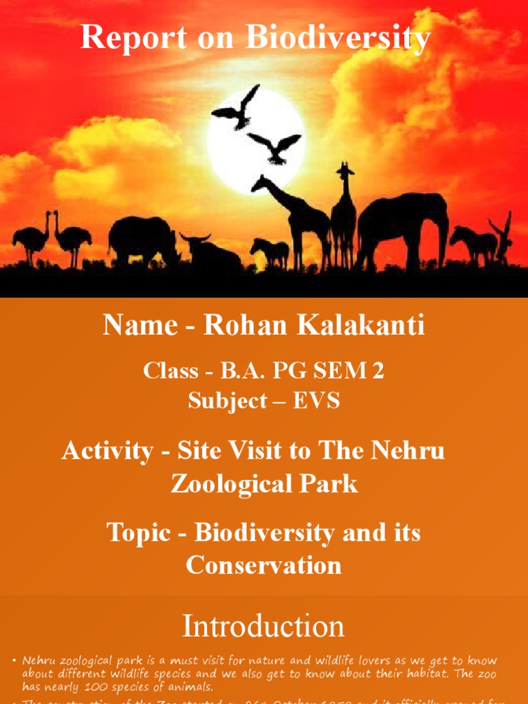 Zoo Report | PDF | Elephant | Biodiversity