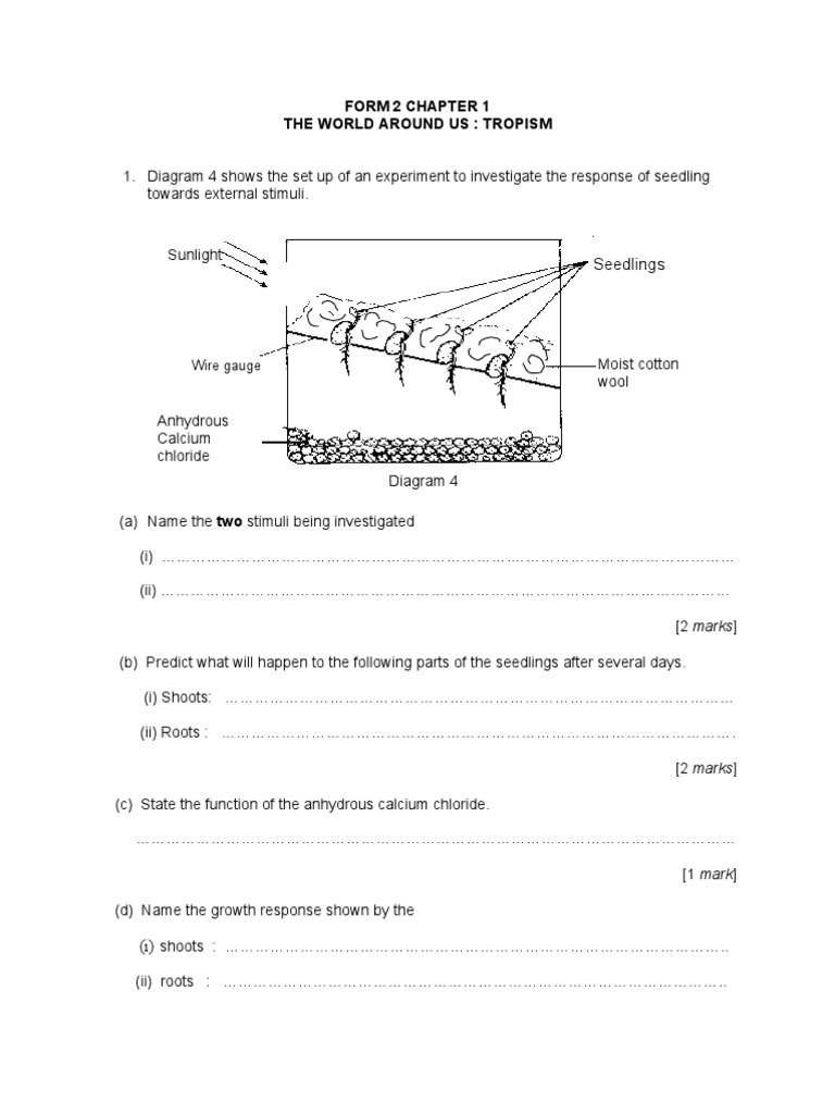 Seedling Tropism Experiment Guide | PDF | History