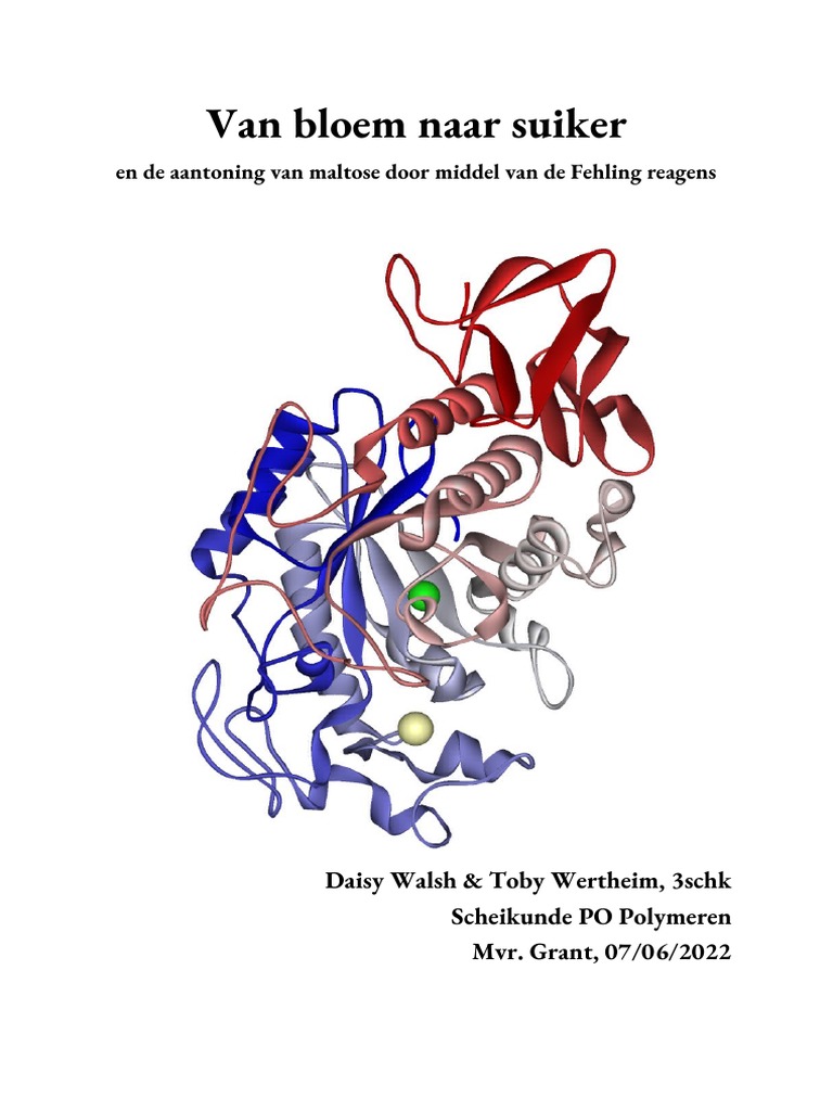Scheikunde Polymeren PO | PDF