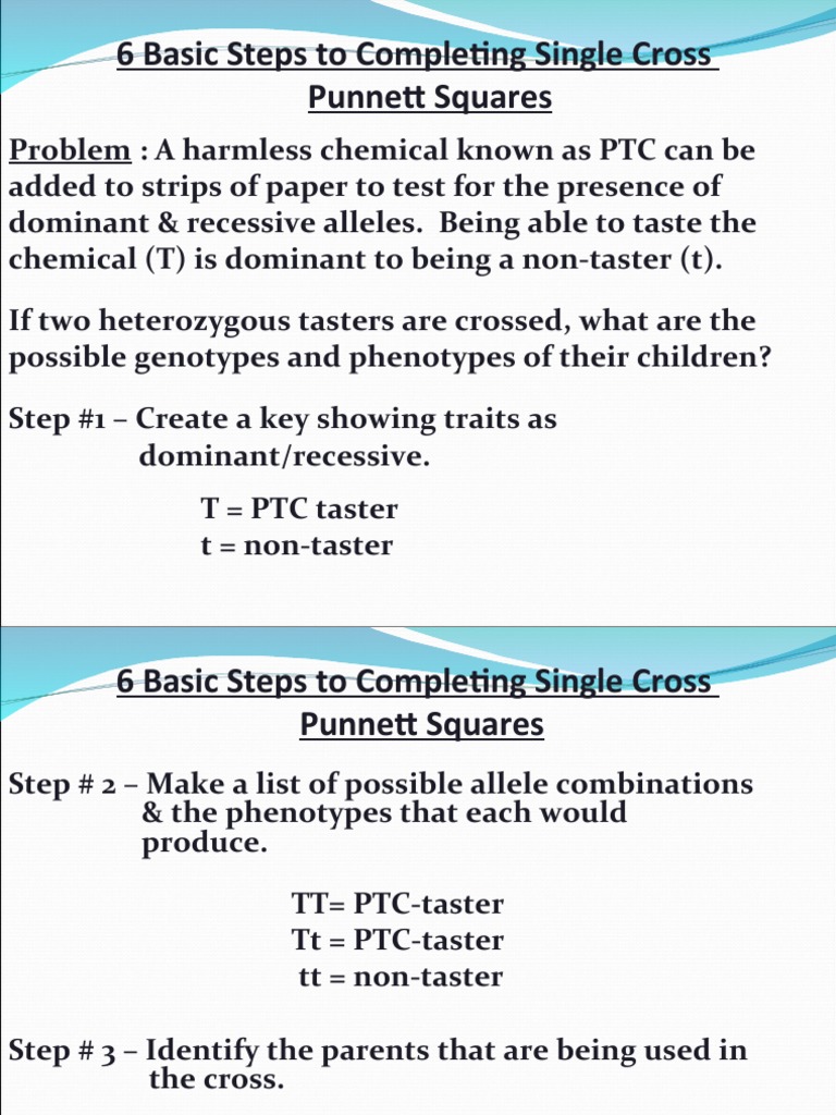 6 Basic Steps To Completing Single Cross | PDF