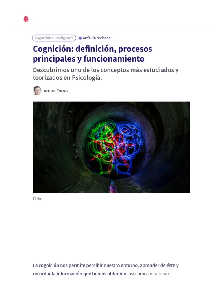 Cognición - Definición, Procesos Principales y Funcionamiento | PDF ...