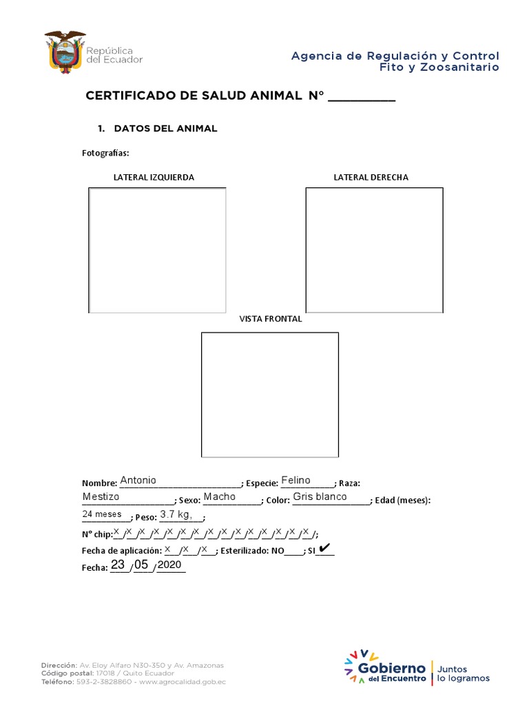 Certificado de Salud Animal Leucocell | PDF | Ciencias de la Salud ...