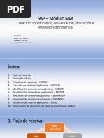 IW38 Lista de Ordenes - Modificar | PDF | Informática
