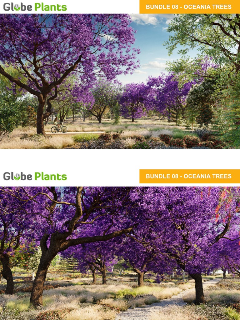 Global Plants Oceania Trees | PDF