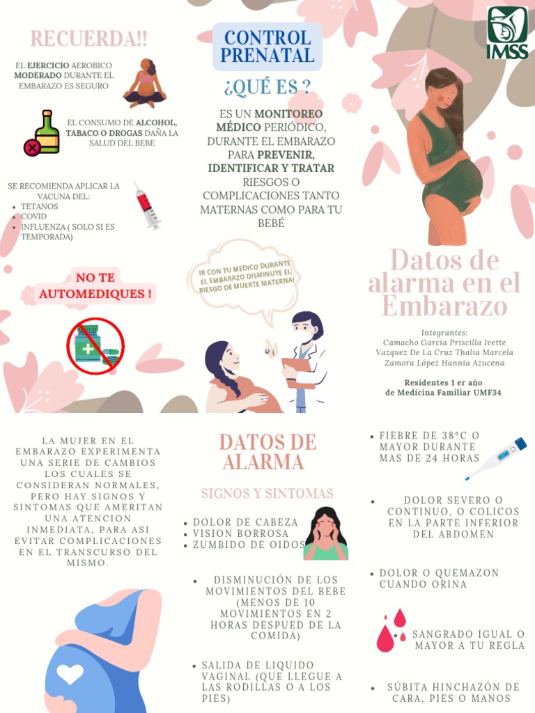 Datos de Alarma en El Embarazo | PDF | El embarazo | Cuidado de la salud