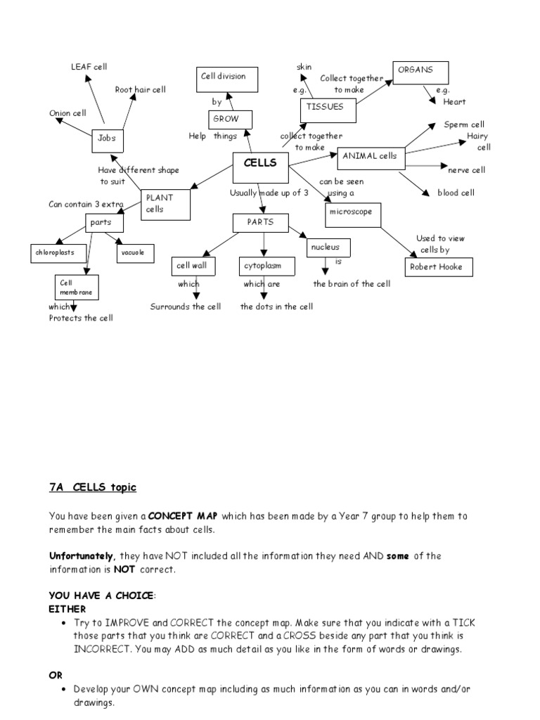 7a Concept Map Cells Pdf Chloroplast Vacuole
