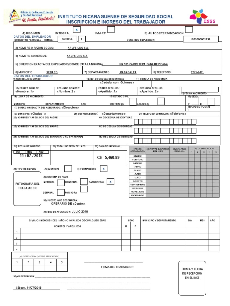 Formato Nit Formulado | PDF