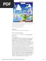 Video Recap of Osmosis by Amoeba Sisters Answer Set | PDF | Osmosis ...