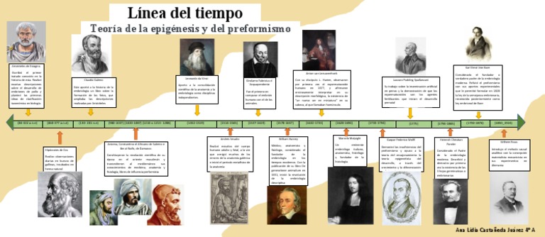 Linea Del Tiempo - Teoría de La Epigénesis y Del Preformismo | PDF ...