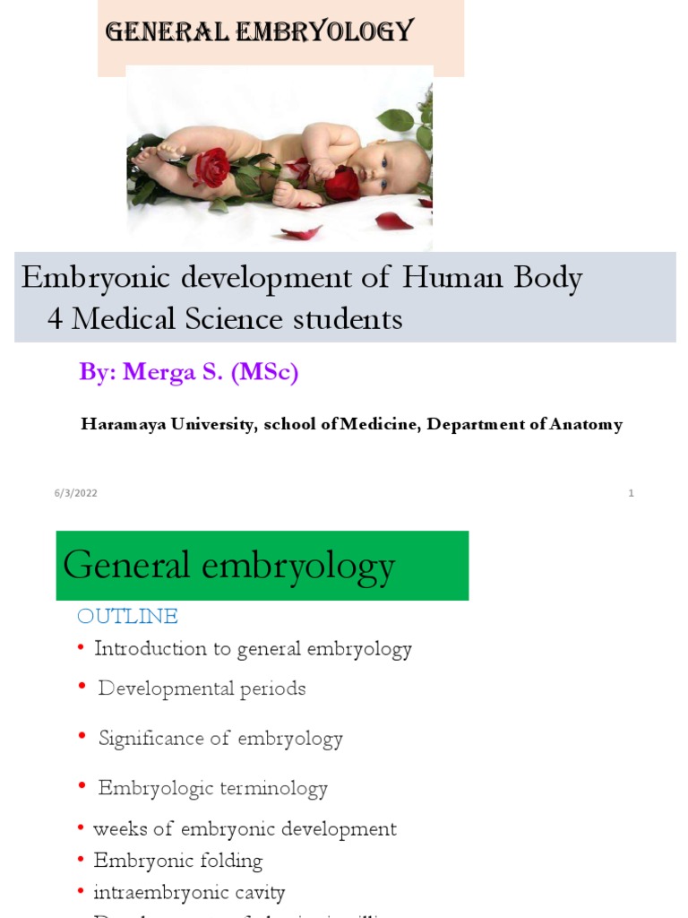 Introduction To Embryology | PDF | Implantation (Human Embryo) | Pregnancy
