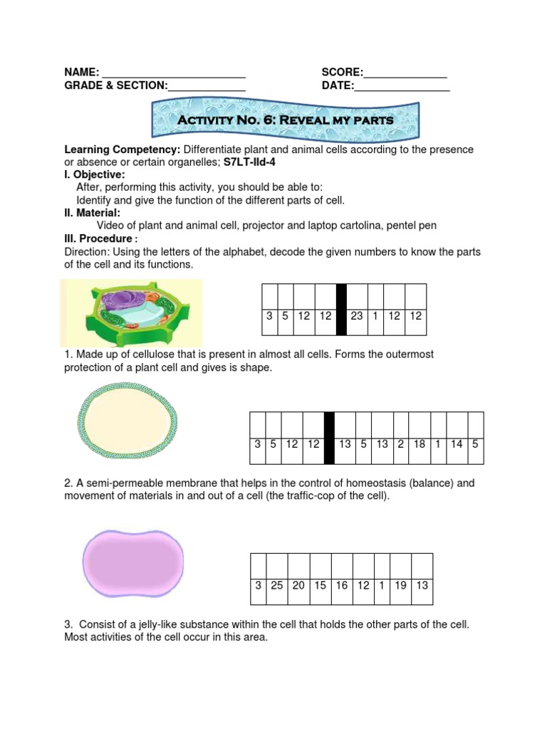 Activity Sheet - Parts of Cell | PDF | Cell (Biology) | Endoplasmic ...