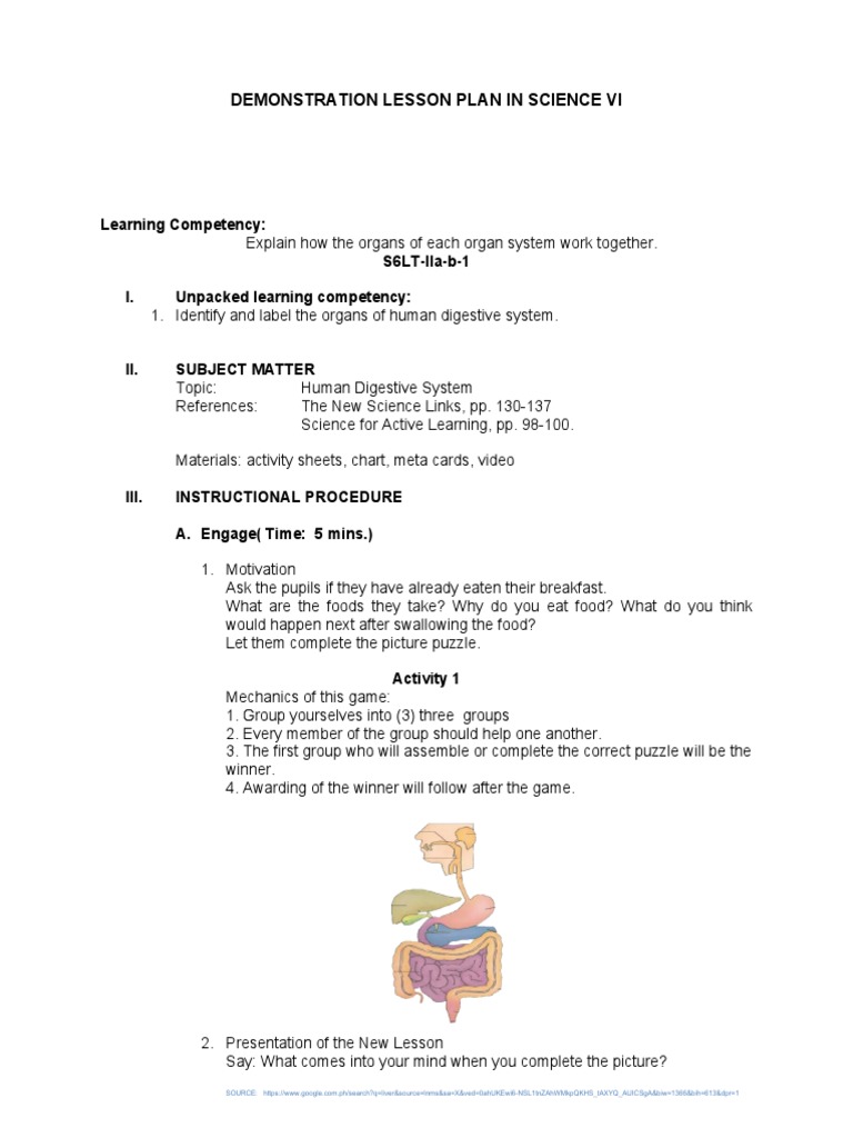 LESSON PLAN FOR DEMO (Revised) | PDF | Digestion | Human Digestive System