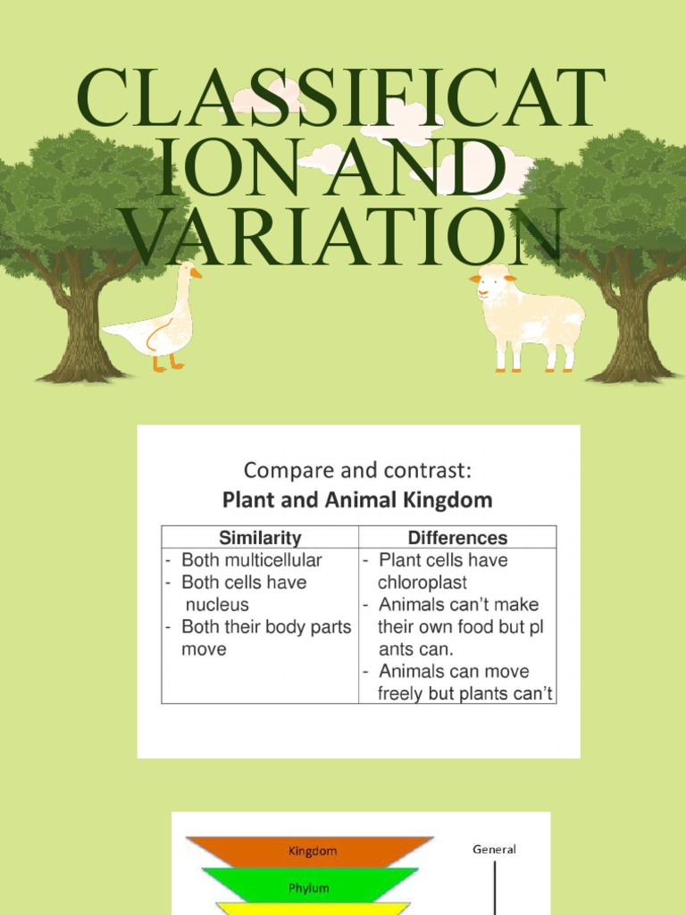 Classification and Variation Science 7 | PDF | Wellness