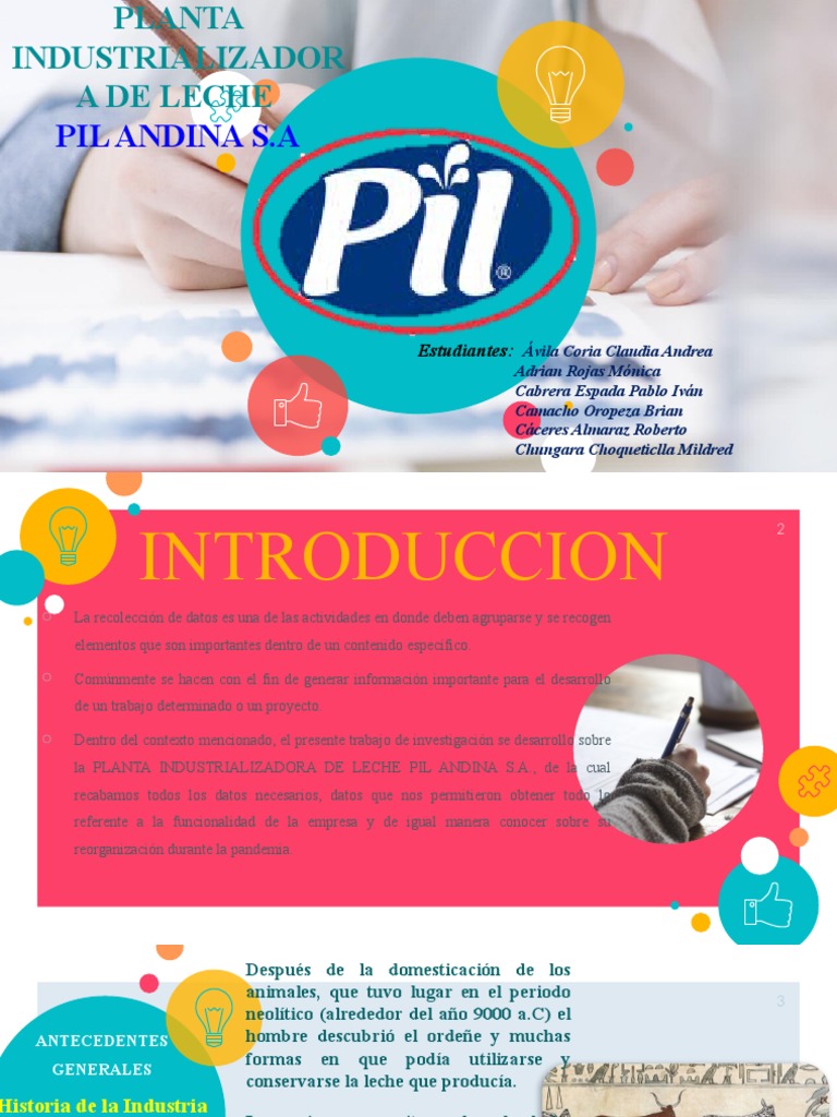 Historia y Funcionalidad de PIL Andina S.A. | PDF | Leche | Bolivia
