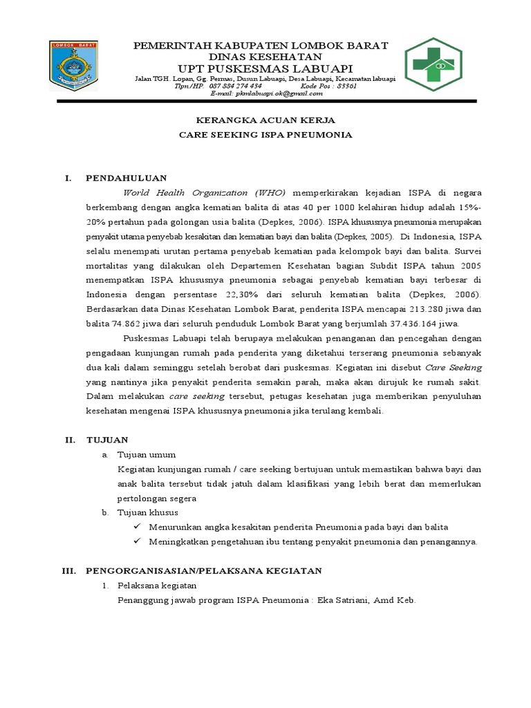 KAK Care Seeking Ispa. | PDF | Pengembangan Diri | Kesehatan Holistik