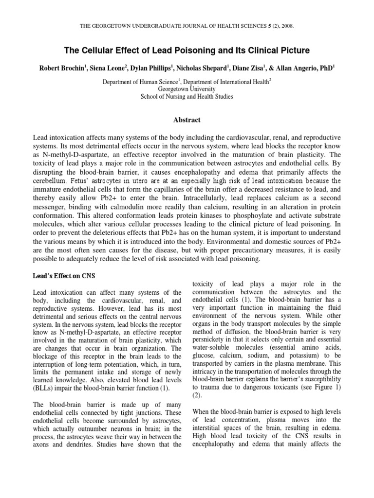 The Cellular Effect of Lead Poisoning and Its Clinical Picture | PDF ...