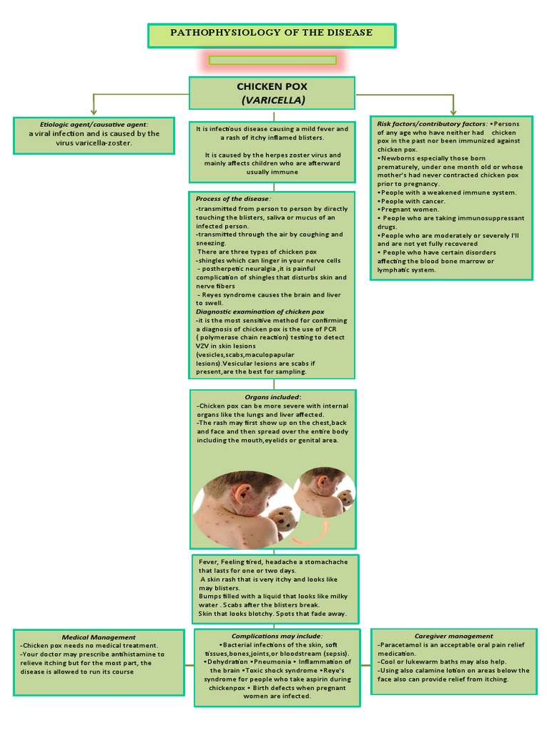 Pathophysiology of Chicken Pox (Varicella | PDF | Medical Specialties ...