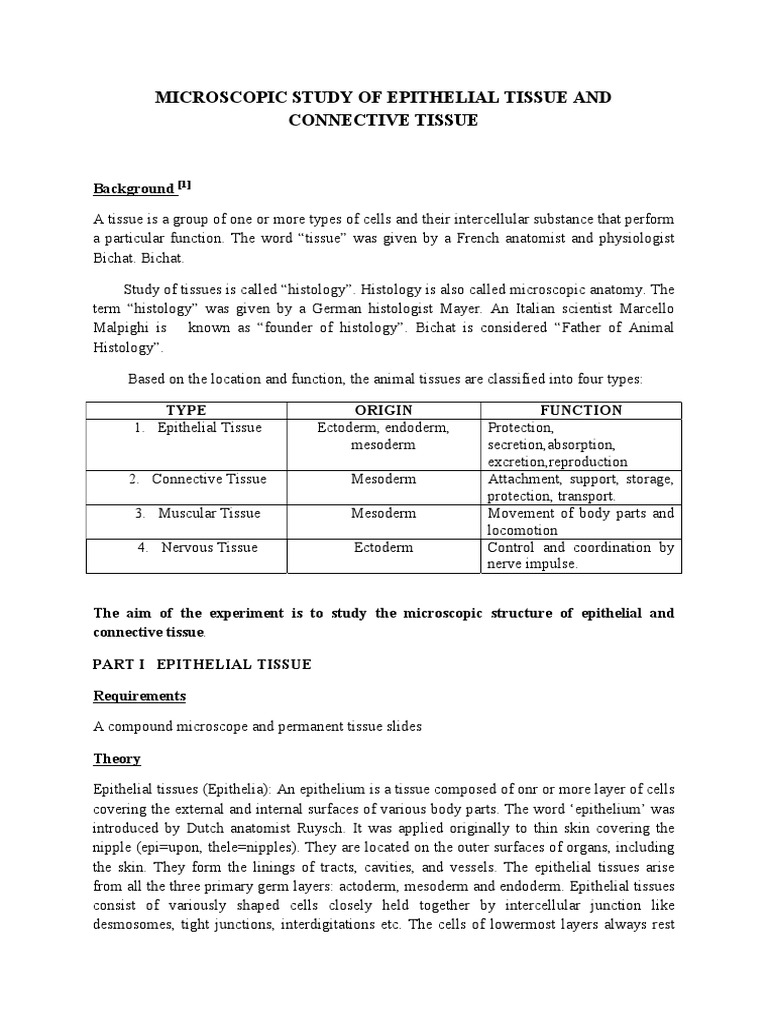 Microscopic Study of Epithelial Tissue and Connective Tissue | PDF ...