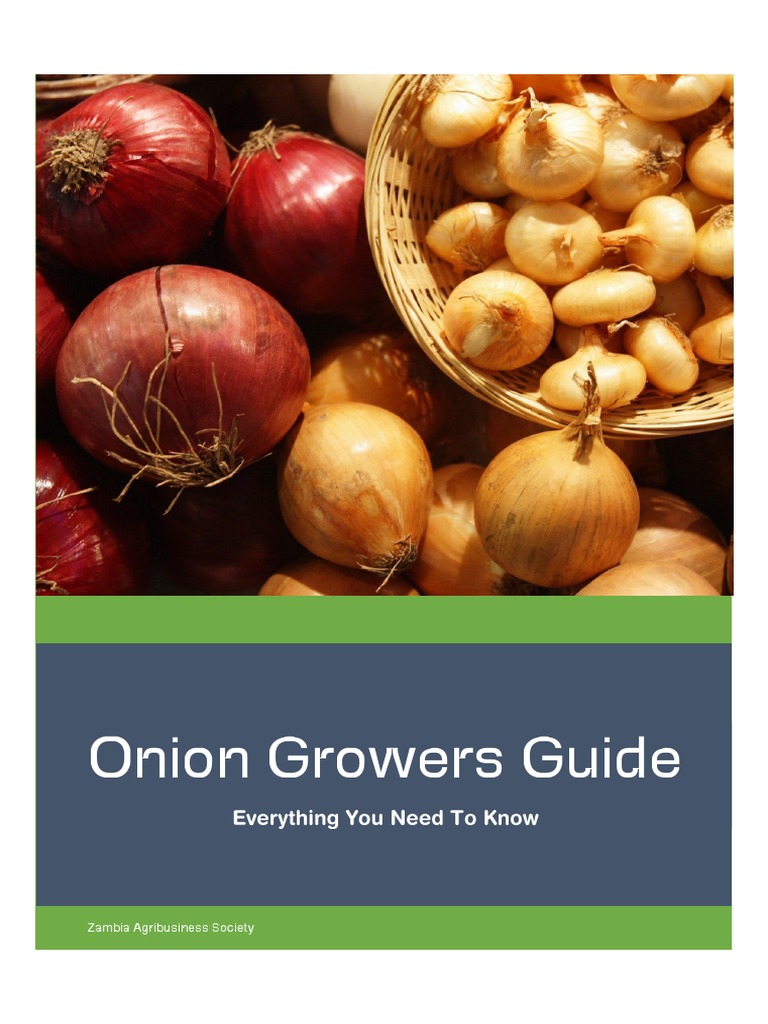 Onion Growers Guide - ZAS | PDF | Onion | Weed